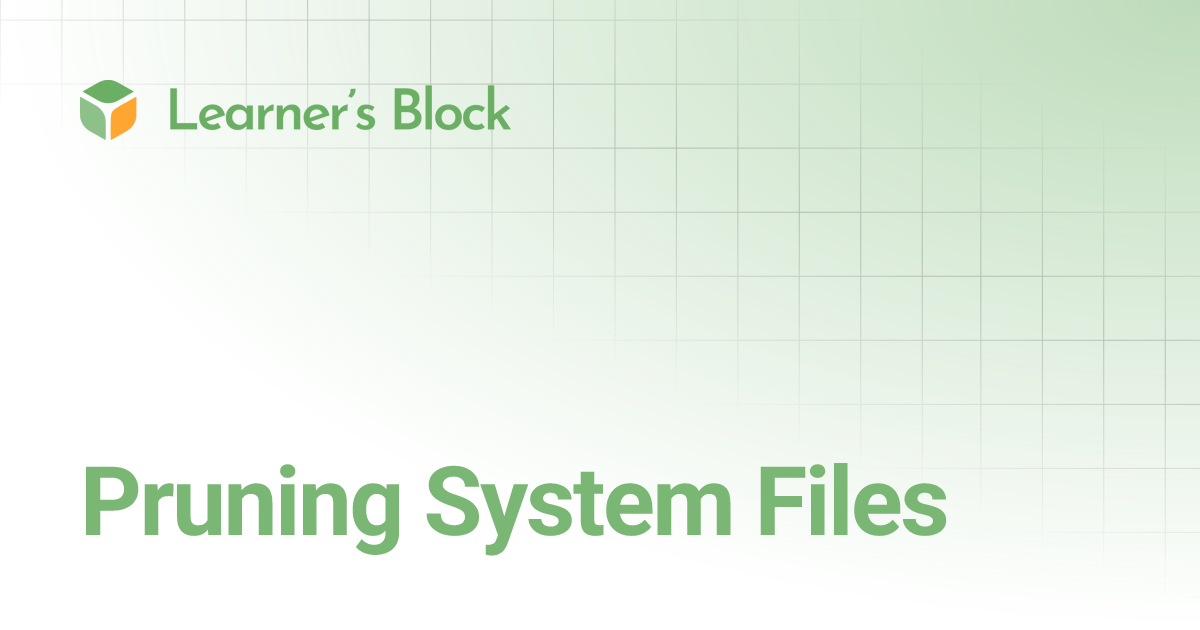 Pruning System Files | Learner's Block